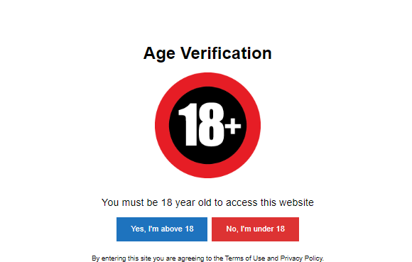 Age Verifier- WordPress Age Verification Plugin by CynkCode | CodeCanyon